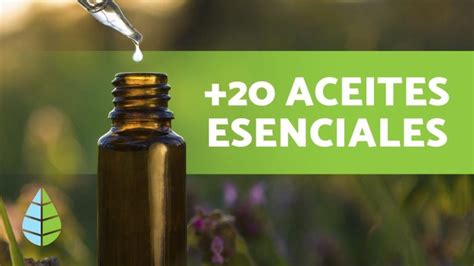 Descubre Para Qué Sirven Los Aceites Esenciales Beneficios Y Usos