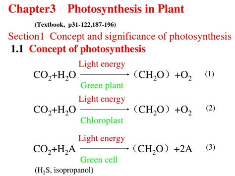 chapter03 photosynthesis in plant word文档在线阅读与下载 无忧文档