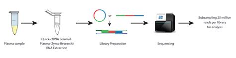 realseq biosciences now offers realseq® biofluids small rna library