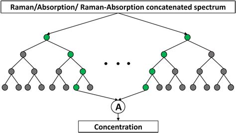 Schematic View Of The Random Forest Model Composed Of Multiple Decision