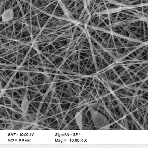 Scanning Electron Microscope Observation The Electrospun Nanofibrous Download Scientific