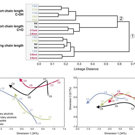 Multidimensional Analyses A Cluster Analysis Showing Similarity