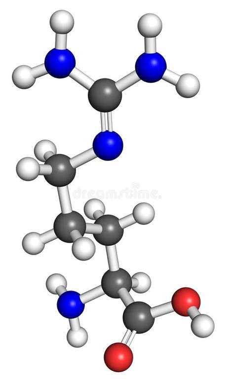 2+ Arginine amino acid Free Stock Photos - StockFreeImages