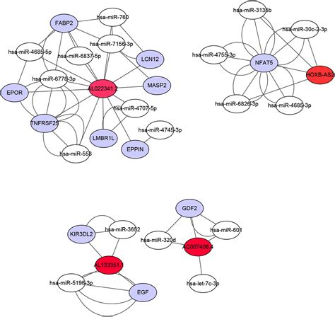 Frontiers A Potential Immune Related Long Non Coding Rna Prognostic