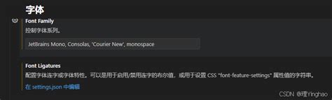 jetbrains mono，适合程序员的字体。vscode中使用 csdn博客