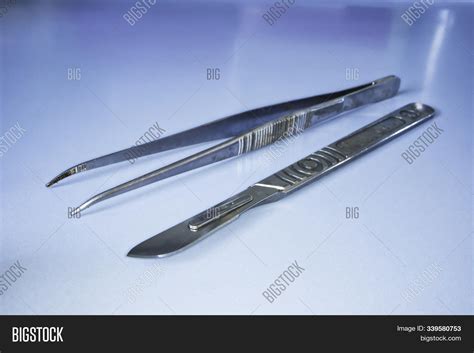 Scalpel Use In Lab At Amy Kent Blog