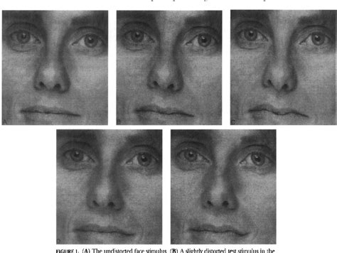 Figure 1 From Detection Of Geometric Image Distortions At Various Eccentricities Semantic Scholar