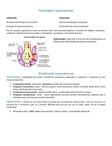Asma Bronquial Patología Resúmenes De Fisiopatología Docsity