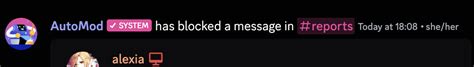 Bug PronounDB Assigns Pronouns To AutoMod Issue Vendicated Vencord GitHub