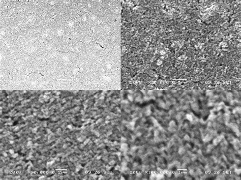 Sem Micrographs Of The Tio2 Nanoparticles Download Scientific Diagram