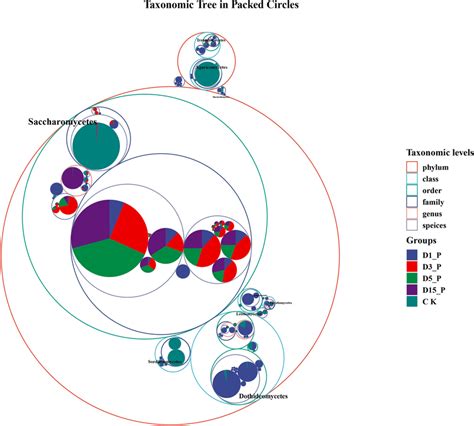 Tree Circle Accumulation Of Fungal Classification The Largest Circle