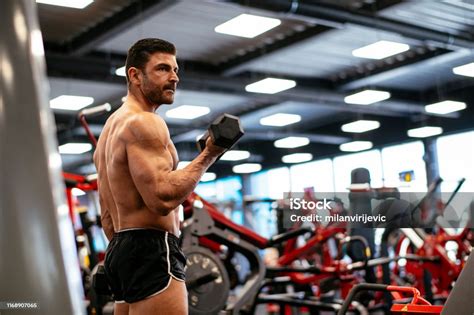 체육관 운동 무게 훈련 보디 빌딩 무게와 훈련을 가진 근육 남자 보디 빌딩에 대한 스톡 사진 및 기타 이미지 보디 빌딩 암컬 건강한 생활방식 Istock