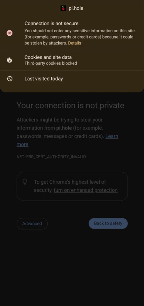 TLS SSL Pi Hole Documentation