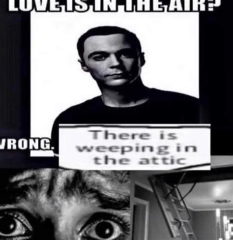 My Favorite Big Bang Theory Episode R Bigbangtheory