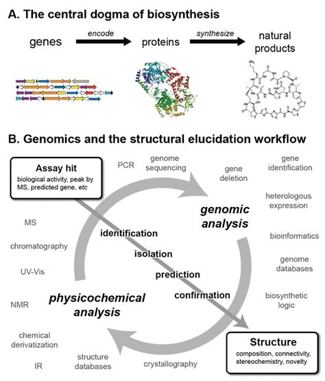 Genomics In The Context Of Natural Products Discovery Download