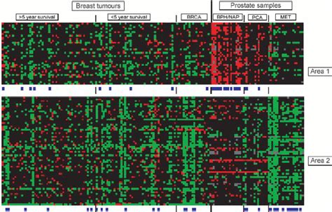 Two Dimensional Treeview Plot Of Gene Expression Ratios Each Row