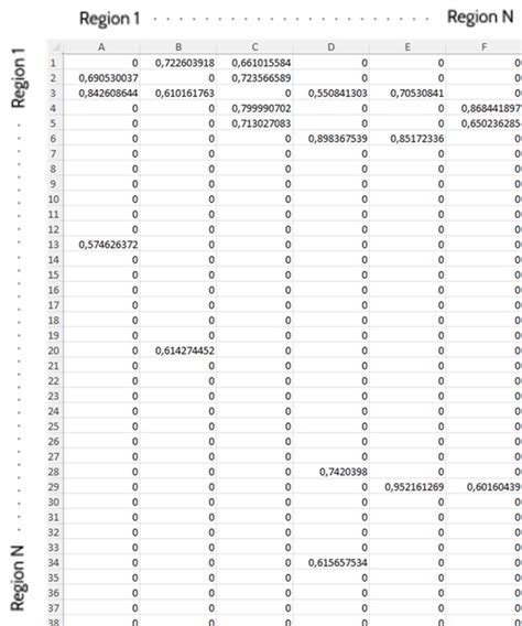 Connectivity Data Format Braph
