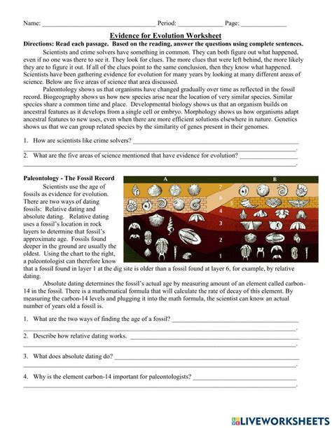 Free Evolution Worksheet With Answer Key Download Free Evolution