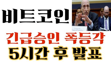 비트코인 긴급승인 폭등각 5시간 후 결과발표 지금 이것 반드시 준비하셔야합니다 비트코인목표가 비트코인전망 비트코인호재 Youtube