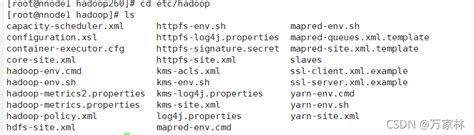 linux安装配置hadoop2 6（保姆级教程）单机版 mainhax v6 0 csdn博客