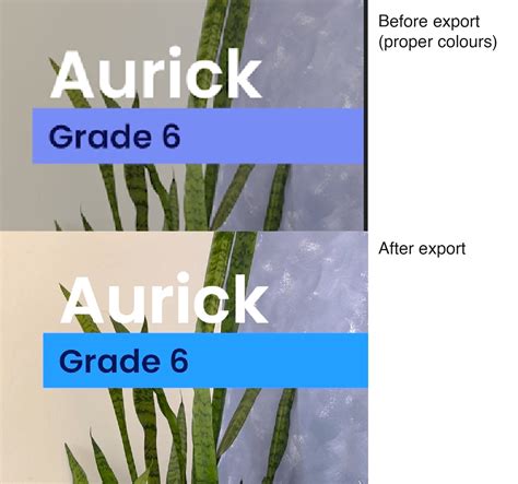 Colors Completely Different After Export Rpremiere