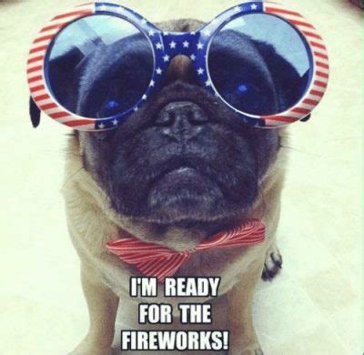 60 Funny Happy 4th Of July Memes Jokes And S