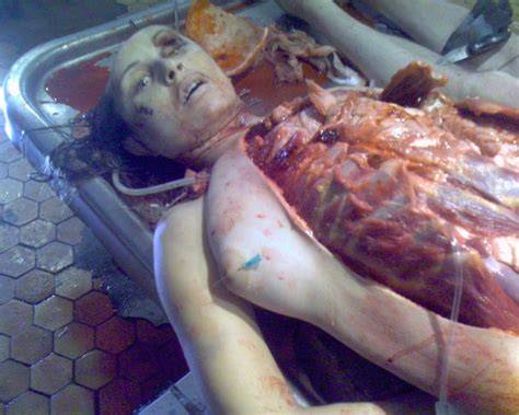 閲覧注意女の子の全裸遺体の処女膜を破った写真もはや炎上どころではない画像あり ポッカキットポッカキット