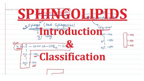 21 Sphingolipids Introduction And Classification Youtube