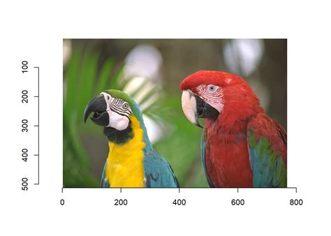 Resource Selection Functions In R Rastering An Image In R