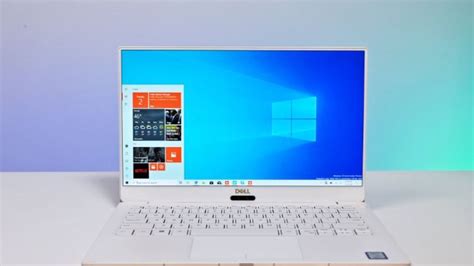 One Cat Web Latest Blog Posts And Trends