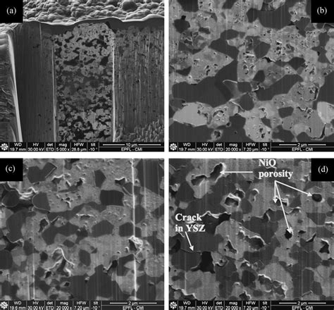 Secondary Electron Image From Focused Ion Beam Fib Cross Section From Download Scientific