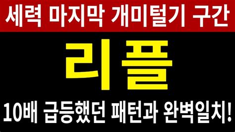 리플 Xrp 리플 코인 세력 마지막 개미 털기 구간 리플 10배 급등했던 패턴과 완벽일치 급등전 반드시 쓸어담으세요 Youtube