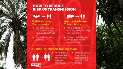 Nipah Virus Outbreak In Kerala All You Need To Know