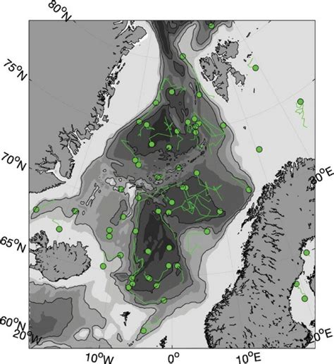 Locations And Two Months Drift Of Operative Argo Floats In The Nordic Seas Download