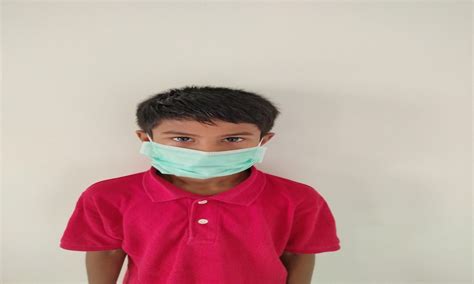 Facemask Object Detection Object Detection Dataset And Pre Trained