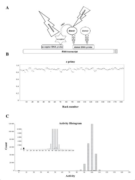 A High Throughput Assay For Mitochondrial Transcription A A