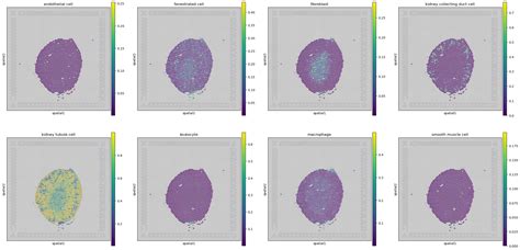 Visium Mouse Kidney Tacco Documentation