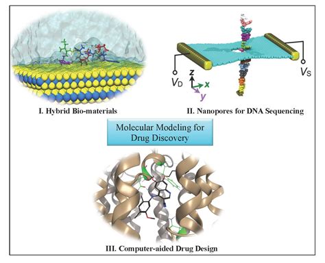 Molecular Modeling Drug Design Program At Eden Goldfinch Blog