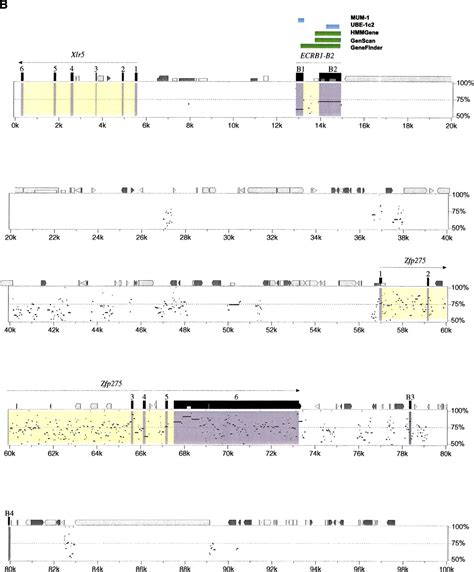 Comparative Genome Sequence Analysis Of The Bpa Str Region In Mouse And Man