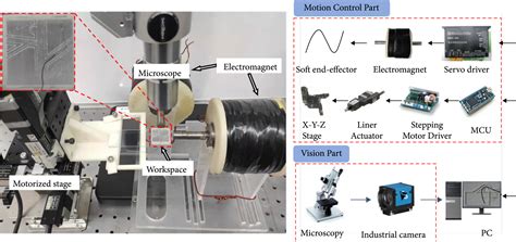 Magnetically Driven Soft Continuum Microrobot For Intravascular Operations In Microscale