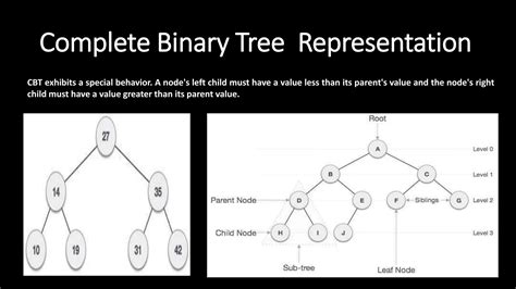 Tree Data Structure Slides Dsa Dsa Pptx