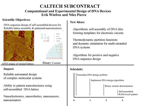 Computational And Experimental Design Of Dna Devices Ppt Download