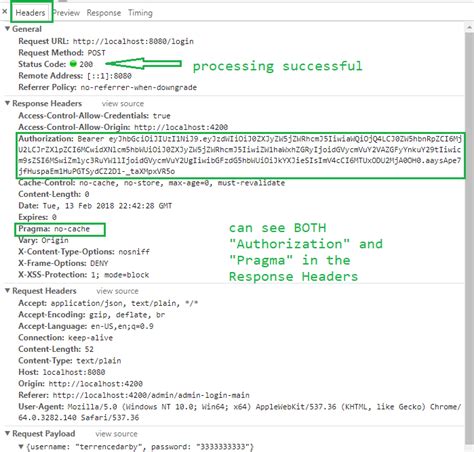 Angular 5 Client Has Authorization Missing From The Response