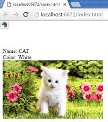 Ng Src Directive In AngularJS