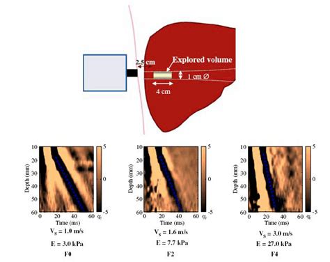 Radiology Services Best Diagnostic Centre In Lucknow Mahi Diagnostics