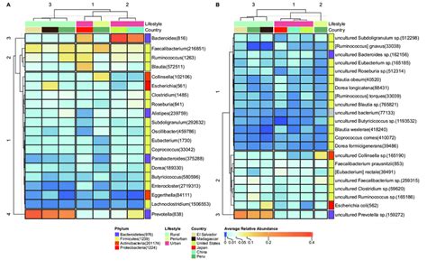 abundance clustering analysis for universal core taxa average relative