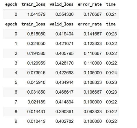 Building A Food Image Classifier Using Fastai Analytics Vidhya