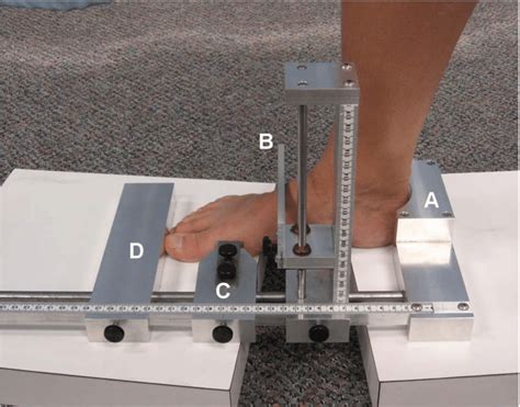 The Arch Height Index Measurement System Source Pohl And Farr Download Scientific Diagram