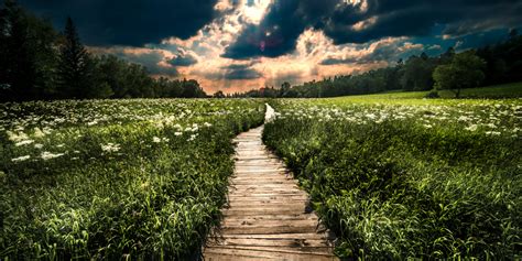 Characteristics Of A Godly Man 25 Traits According To The Bible