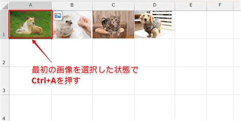 エクセルの画像を一括選択・全選択してまとめて操作する方法